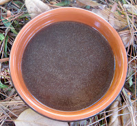 Wild Mountain Cook Book: Acorn Pudding