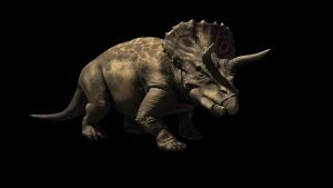 432 Magazine: ANIMAL PLANET: ARMAGEDÓN ANIMAL