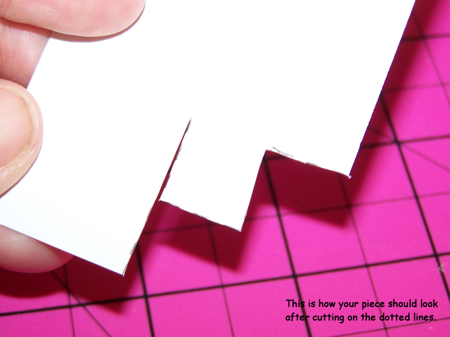 Little Scraps of Heaven Designs: Business Card Holder Tutorial