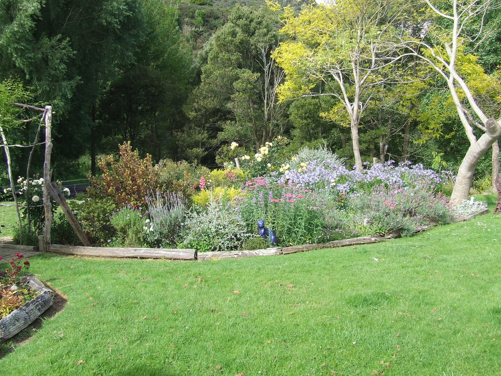 Totaranui: Random pictures of the garden