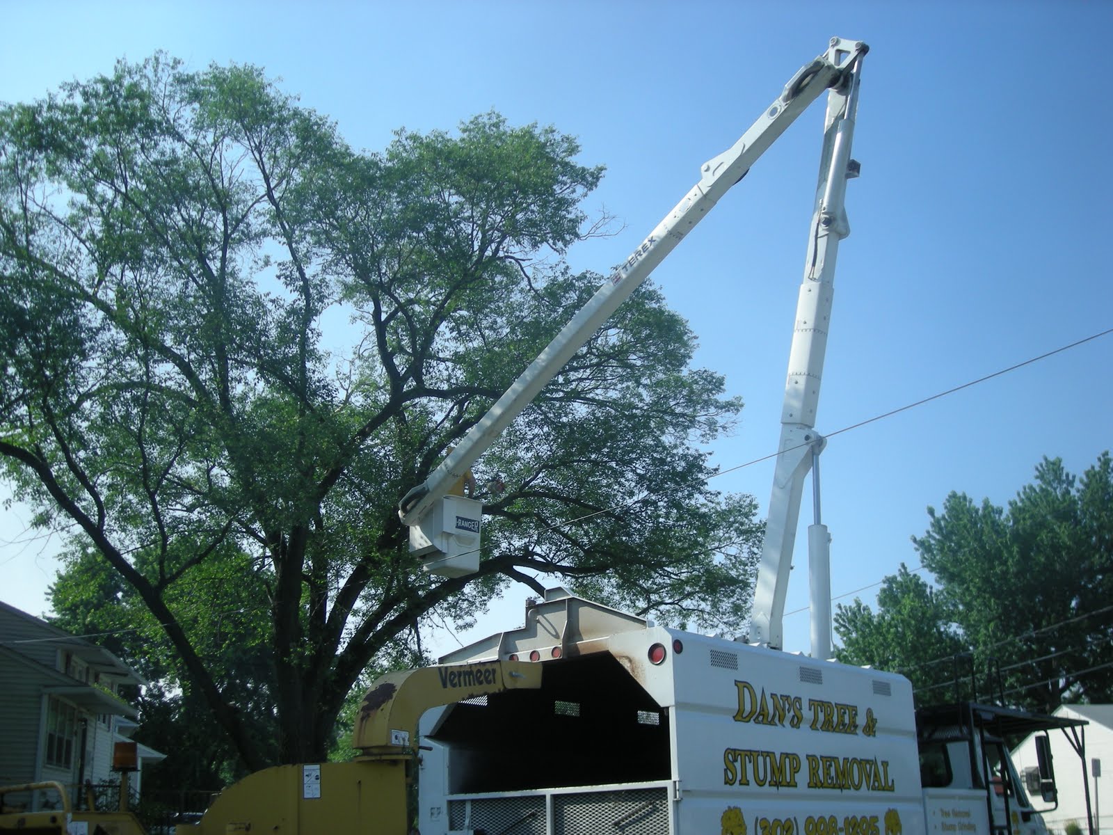 Dan, the Tree Man: Tree Trimming with the Bucket Truck