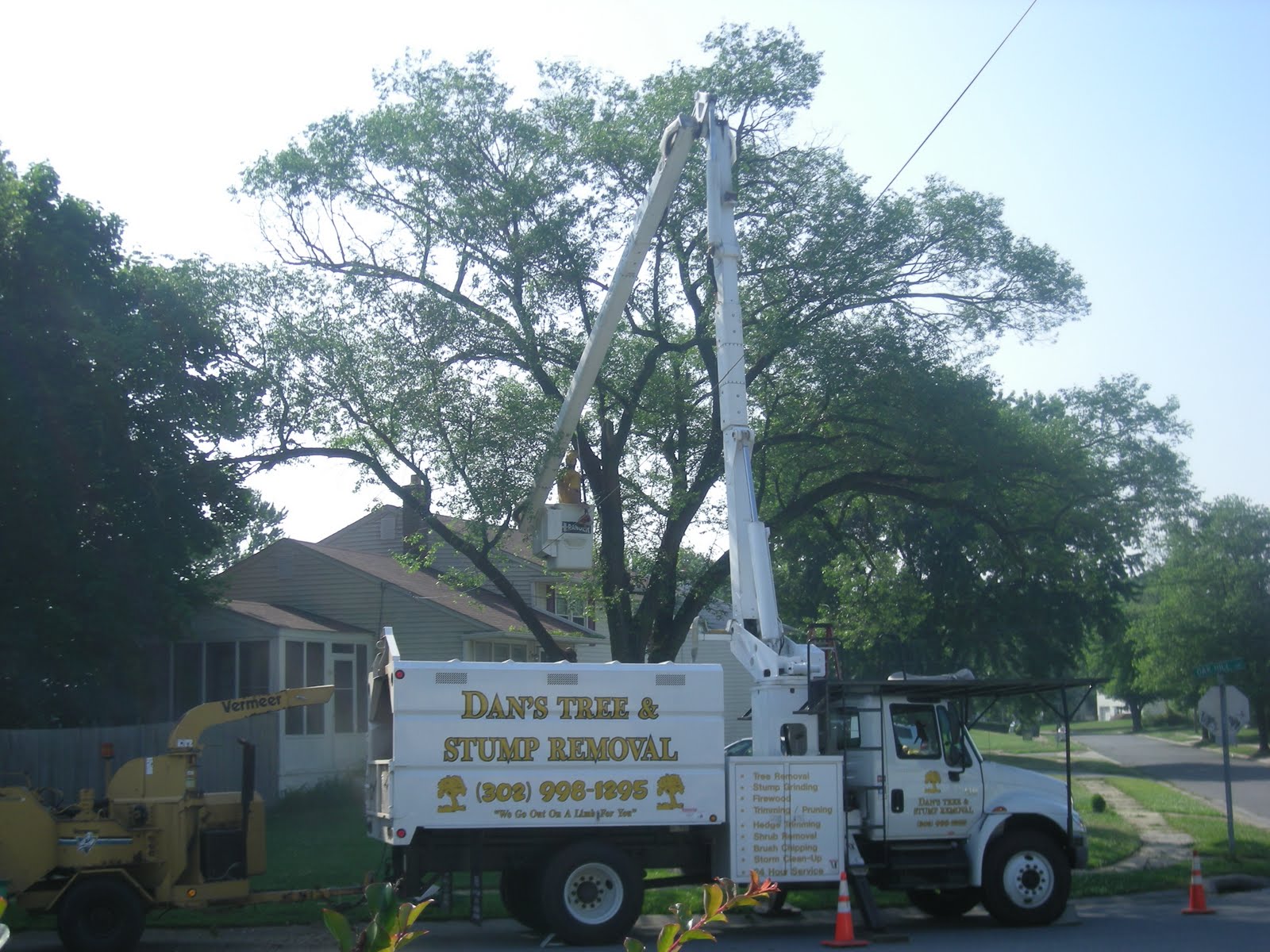 Dan, the Tree Man: Tree Trimming with the Bucket Truck
