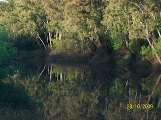 CAMPAMENTO ESCOLAR - RAIGÓN - SAN JOSÉ