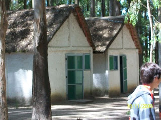 CAMPAMENTO ESCOLAR - RAIGÓN - SAN JOSÉ