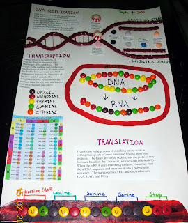 Makromolekulak / Macromoléculas - Zientzia Eskuetan