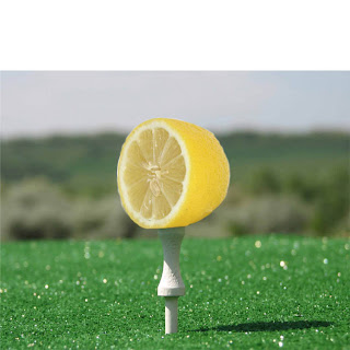 ben's blog: 7/27/08 - 8/3/08