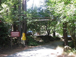 Seeing the World: Sweaty in Sveadal