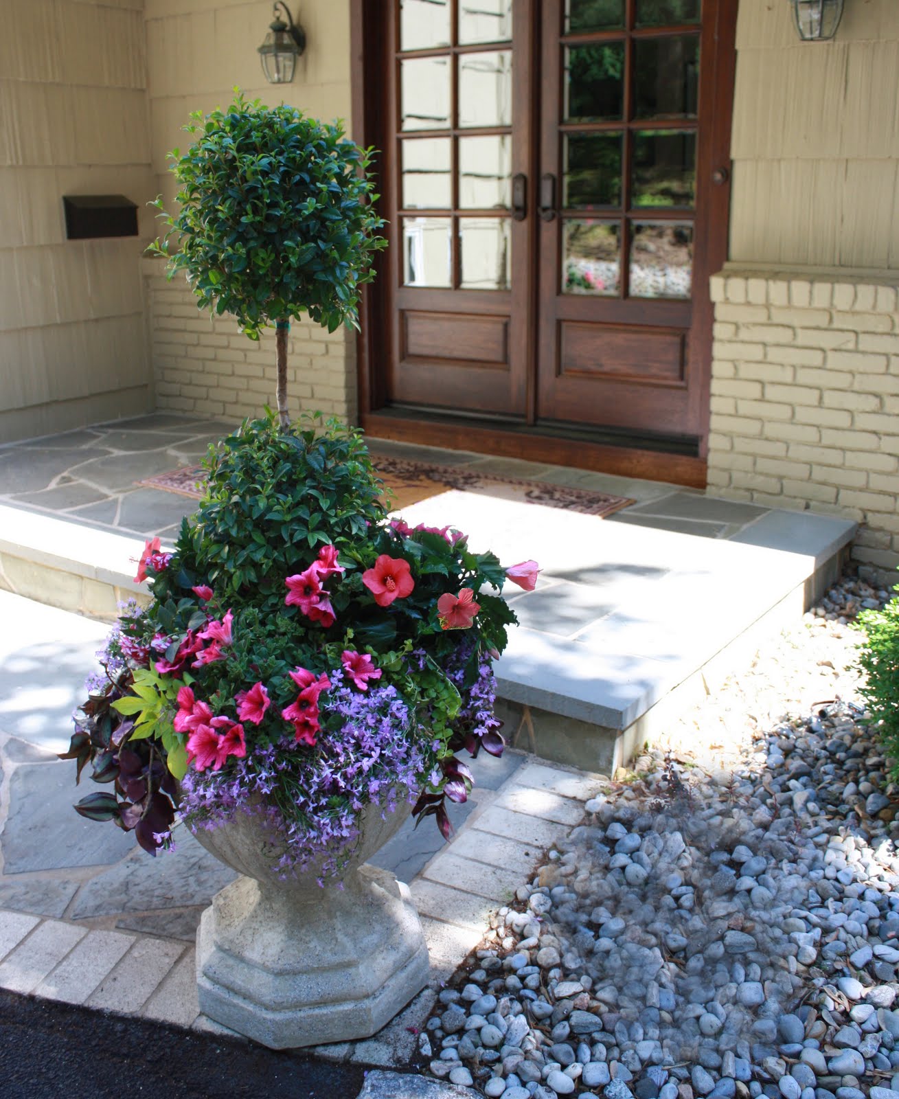 flores del sol: eugenia topiary container garden