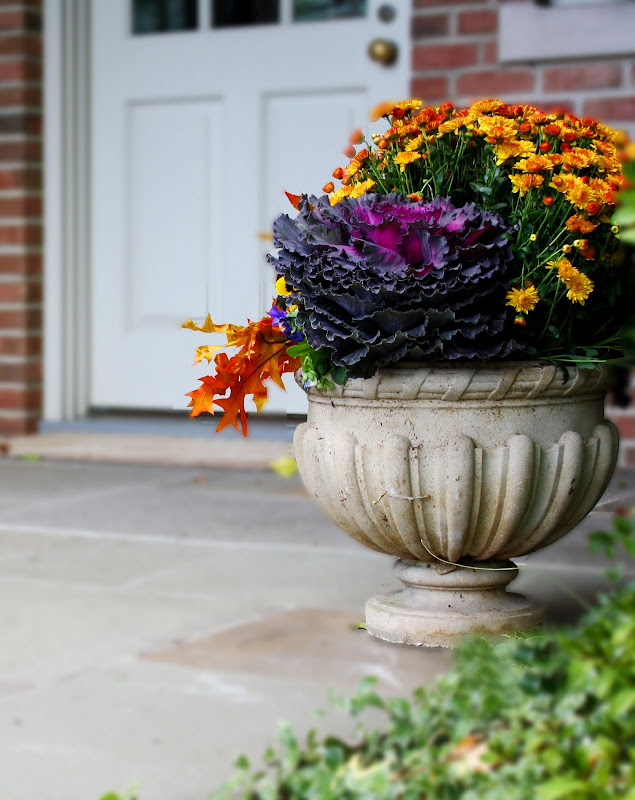 flores del sol: autumn flower planting choices