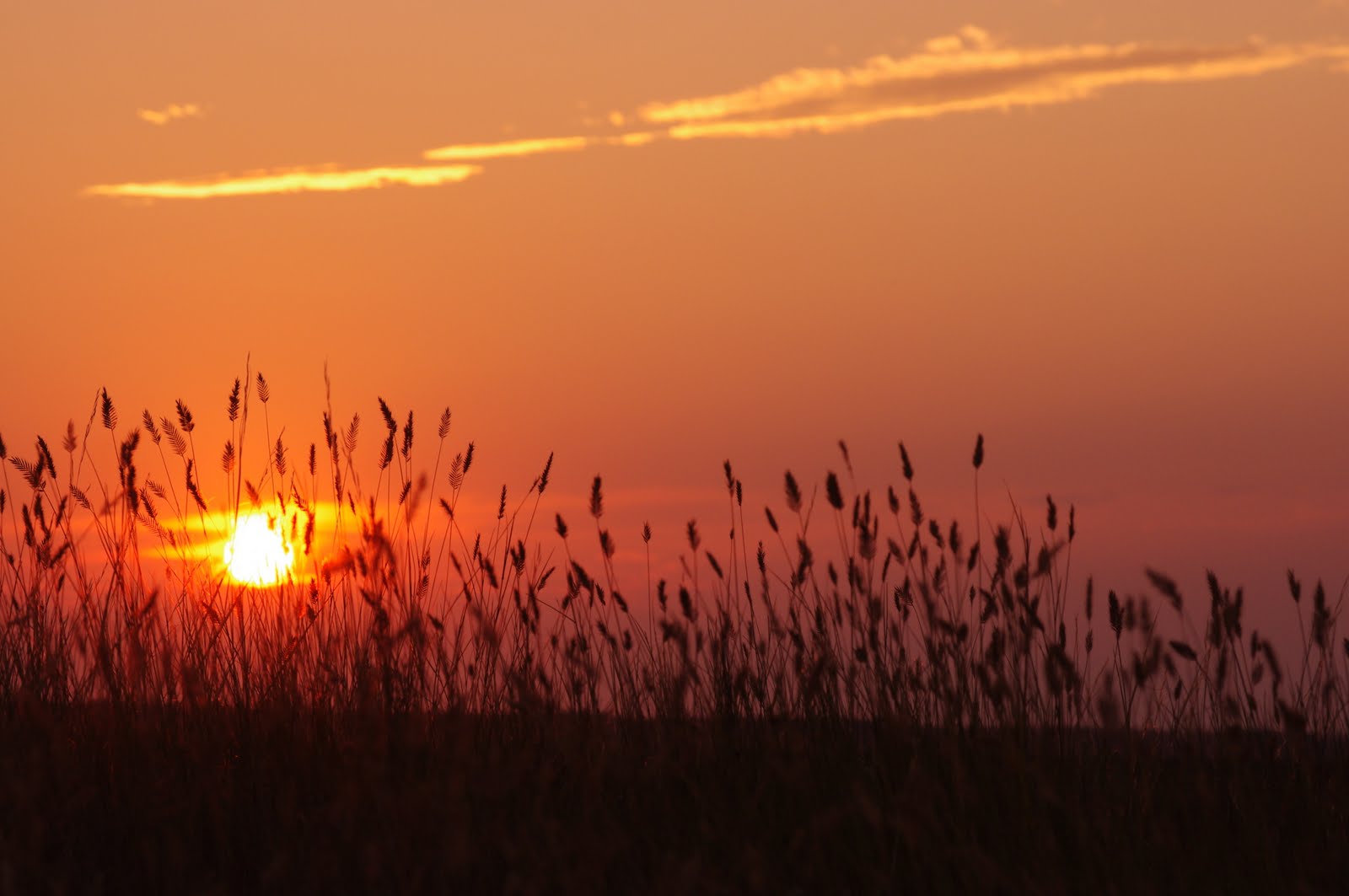 Prairie Potholes: Harvest Scenes Part II