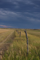 Prairie Potholes: Harvest Scenes Part II