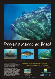Projeto Meros do Brasil ~ Nature Planet