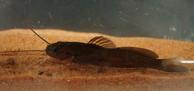 2010 ~ Nature Planet