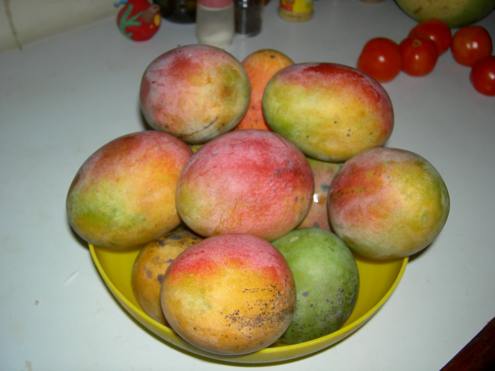Alan & Beth in Nicaragua: Mangos, mangos, mangos