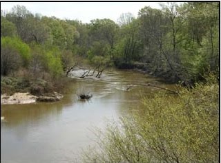 Texas Cryptid Hunter: Federal Protection Sought for Neches River