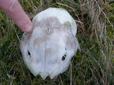 AMSTERDAMSE WATERLEIDINGDUINEN AWD: Mail Jan Willem Tuinman