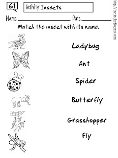Carolina, mi página de inglés (Actividades): 61. Insects