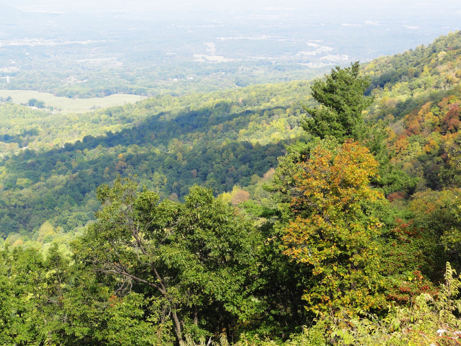 It's a Trip of a Lifetime: DAY 50 - WASHINGTON - GREENWOOD, VIRGINIA