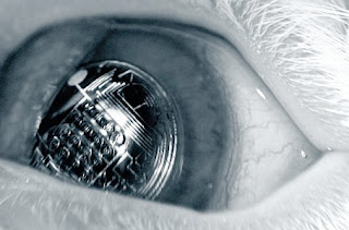ITGS News: Digital Eye Contact Lenses