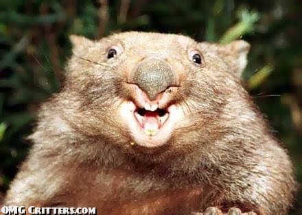 Mighty Lists: 10 smiling animals