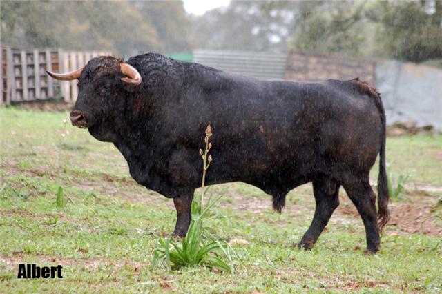 ESPAI TAURÍ: marzo 2010