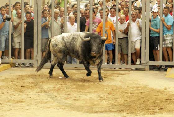 ESPAI TAURÍ: San Roc. Vilavella