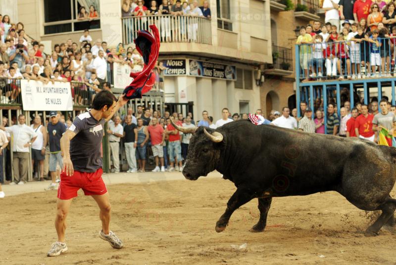 ESPAI TAURÍ: agosto 2010