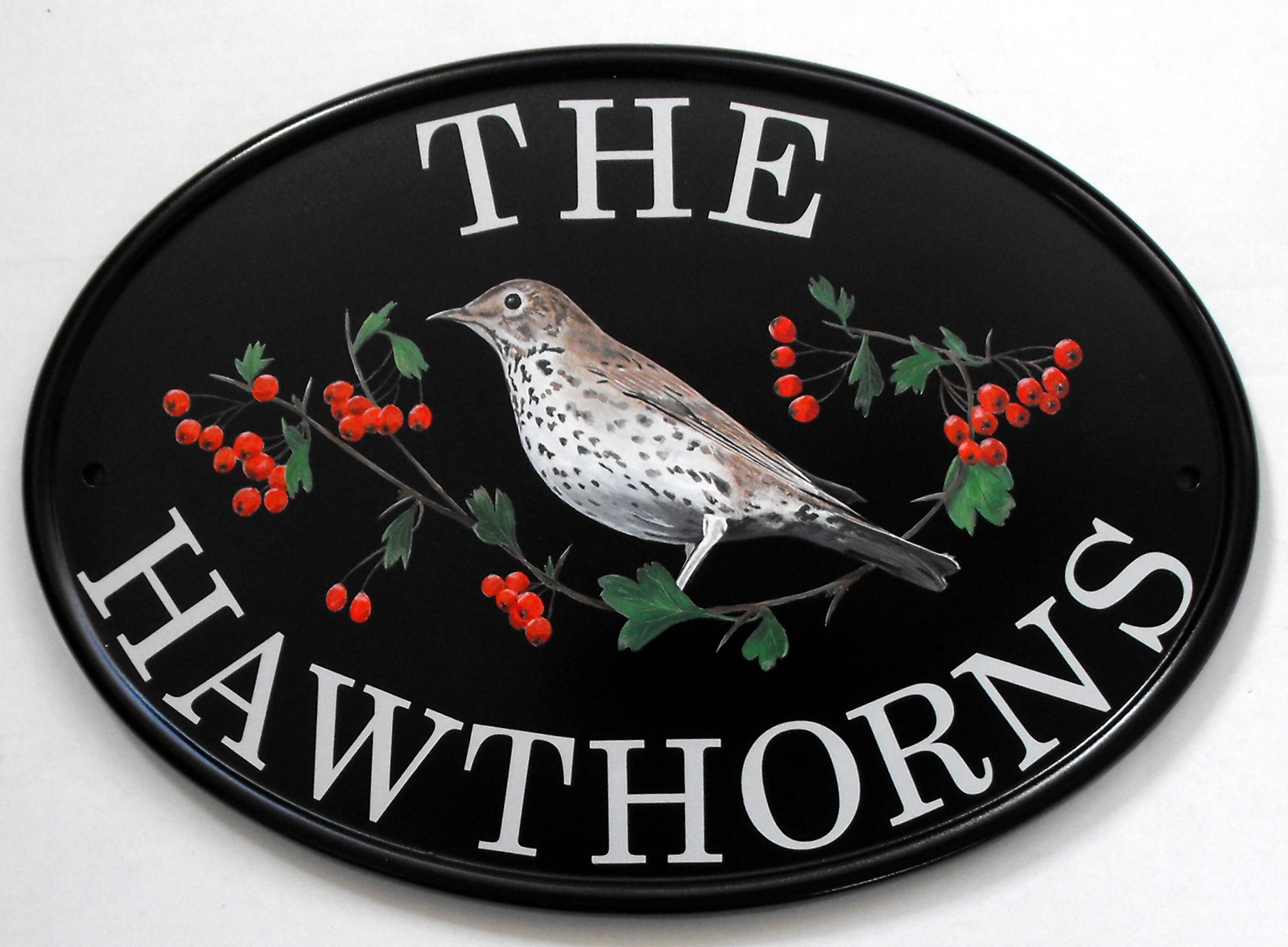 Pictorial House Signs from Yoursigns Ltd: Thrush and hawthorns sign