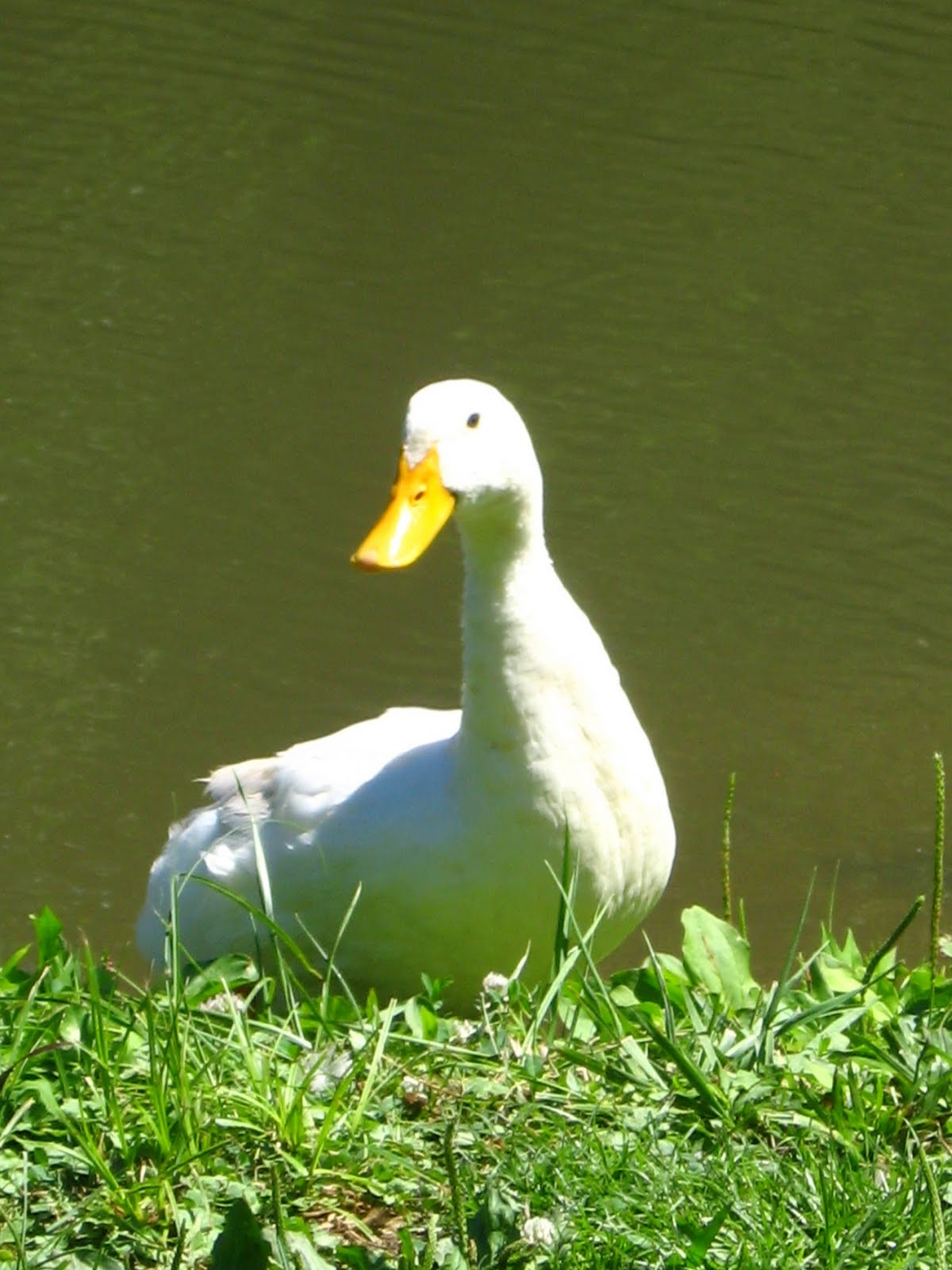 PHOTO ESSAY #2 -- LEVI JACKSON STATE PARK; LONDON, KY