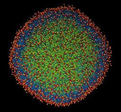 GRUPO MICROBIOLOGÍA Y AMBIENTE, GIMA: Nanocápsulas con veneno de abeja ...