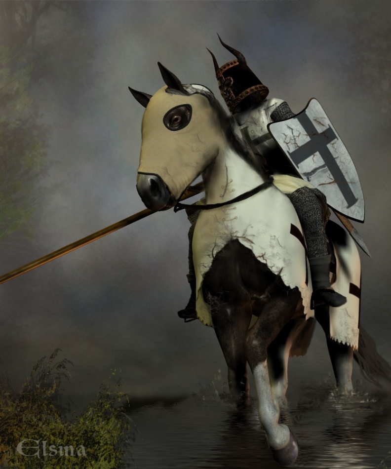 Geticul`s Blog: File din istoria Ordinul Teutonic