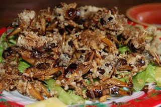 jangkrik oh jangkrikkk ~ | my lil notes