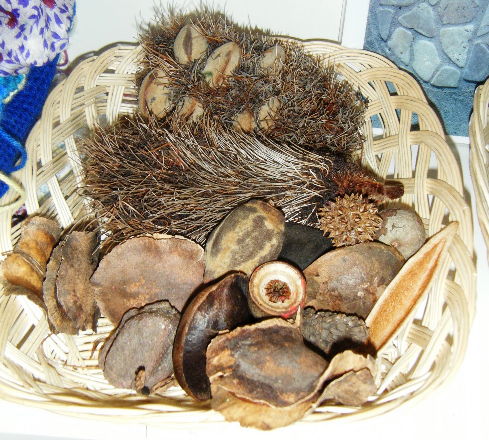 let the children play: the point preschool: use of natural materials ...