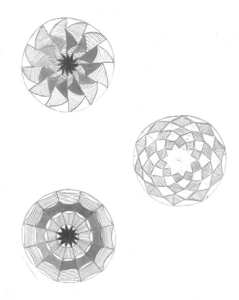 Circulo cromatico mariposas - Imagui