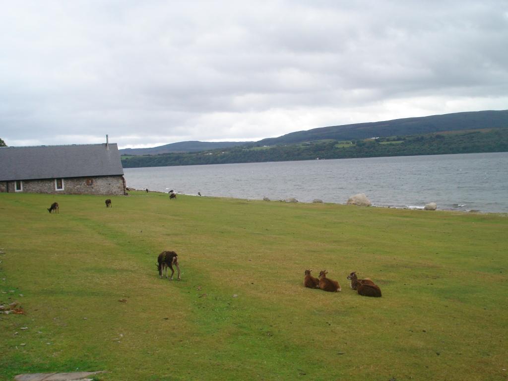 Scotland's Buddhist Vihara: Holy Island Retreat (09th to 11th July)