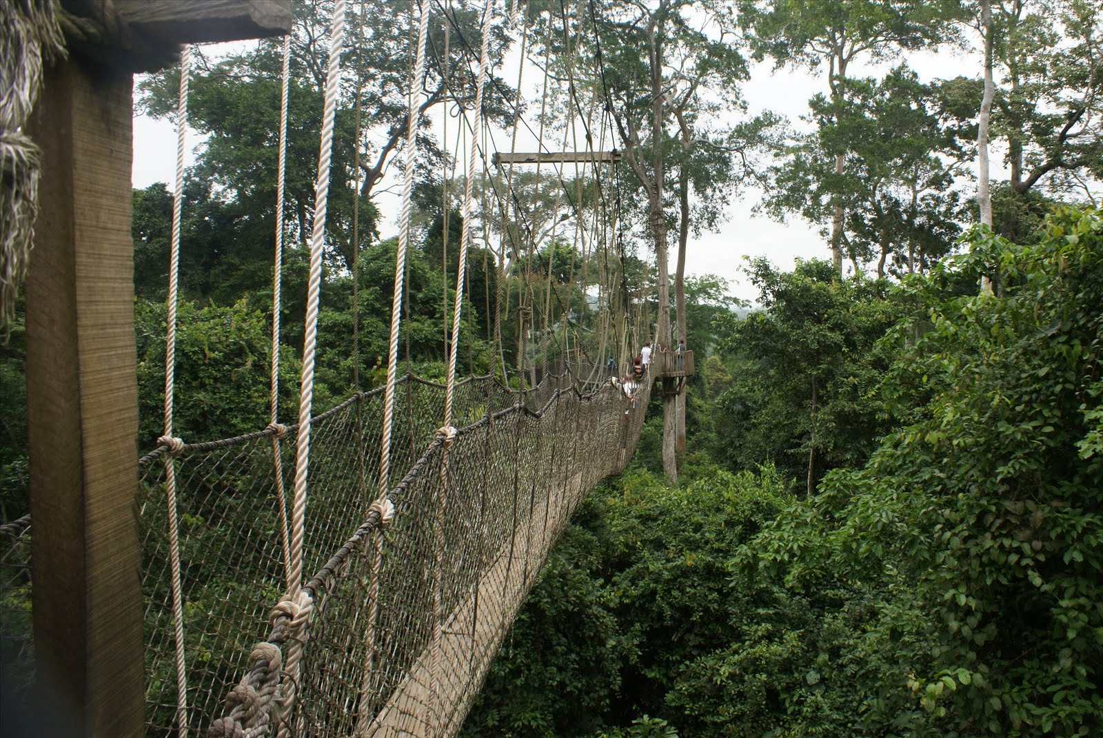 Ghanaventure: Day 7 - Kakum National Forest and Cape Coast Castle