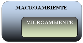 lic.en admnistracion: MACROAMBIENTE Y MICROAMBIENTE