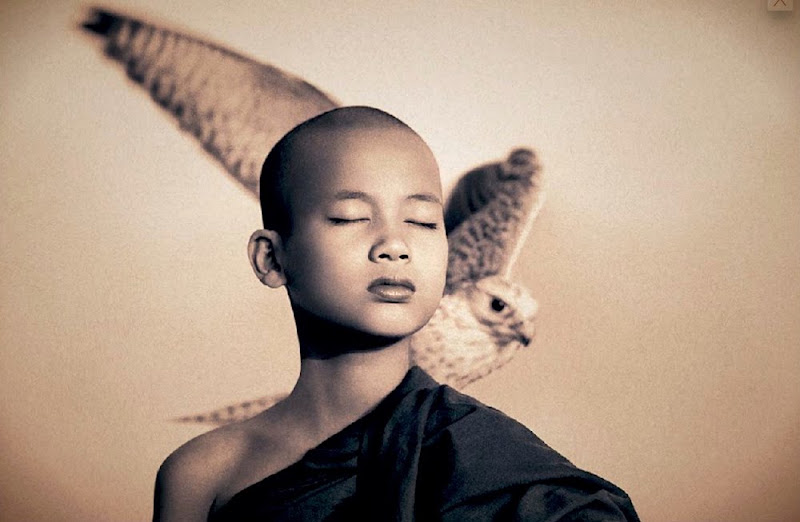 Artodyssey: Ashes and Snow - Gregory Colbert