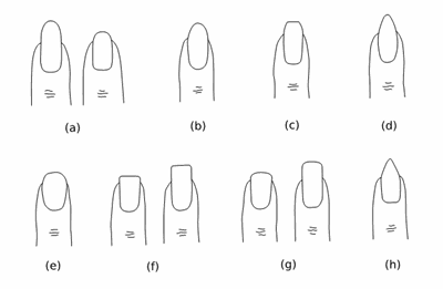 UÑAS "LO NUEVO": ¿Cuál es el tamaño ideal para mis uñas?