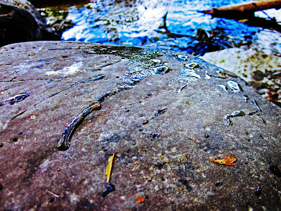 Pilot Rock HS Photography: Rock With Splatter by Shawna R.