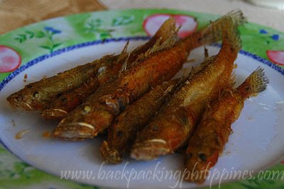 Backpacking Philippines: Origin of Filipino Idiom Utak Biya (Goby Fish ...