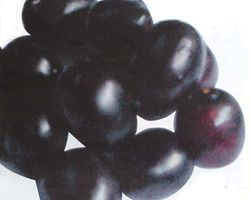 Philippine Facts and History: Duhat (Java Plum)