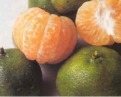 Philippine Facts and History