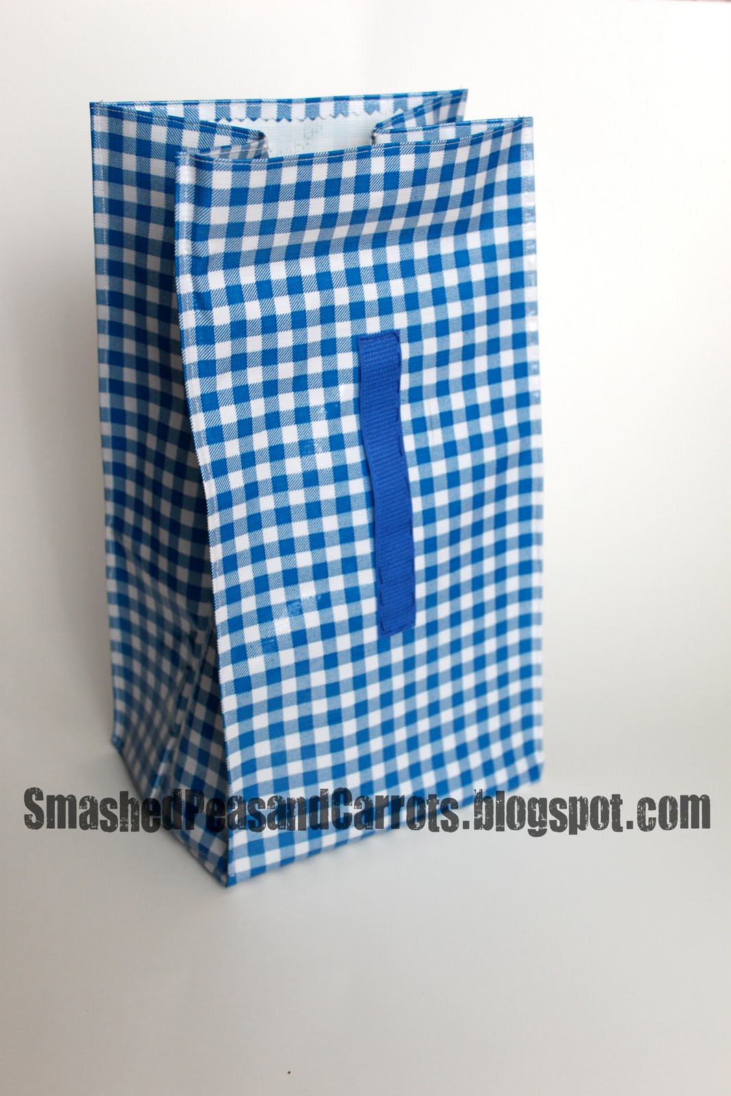 Oil Cloth Lunch Bag with Closure - Smashed Peas & Carrots