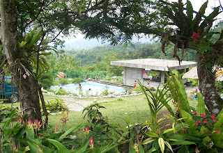 Best Places and Resorts in Negros Occidental: Patag Silay Adventure Photos