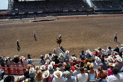 Miss Rodeo New Mexico 2009