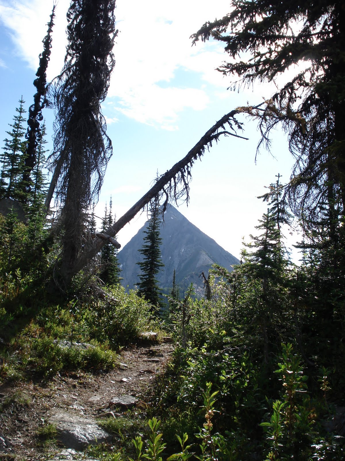 Bill's Great Adventure