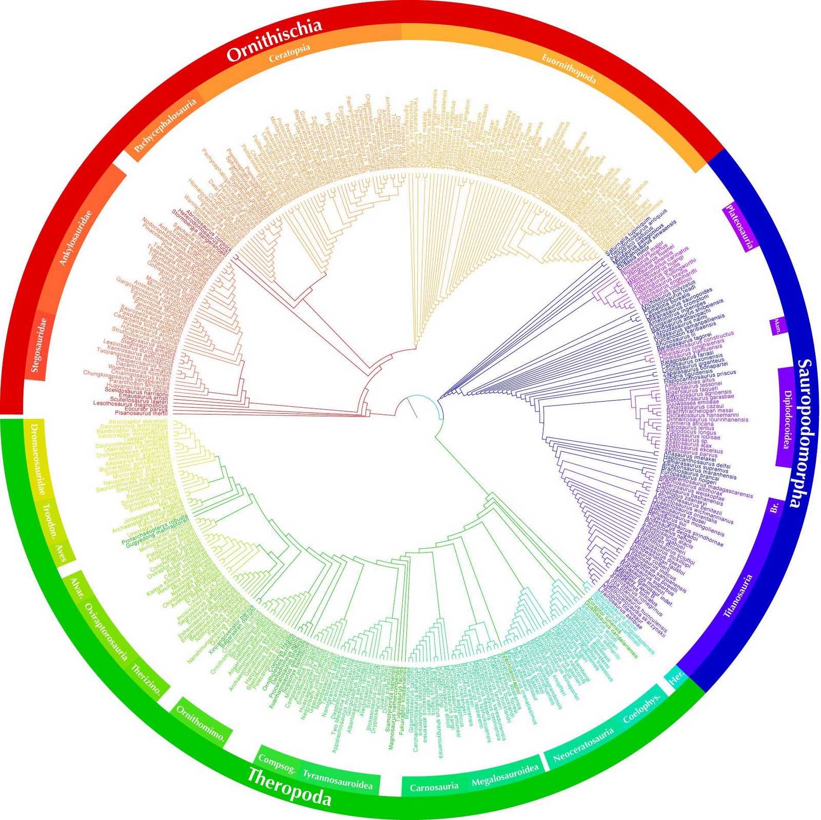 This is for me to look at later: The Evolution Tree