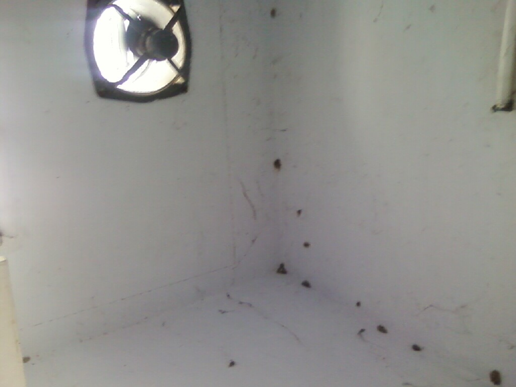 VARIYANKAVAL PHC: world worst toilet at perambalur collectorate