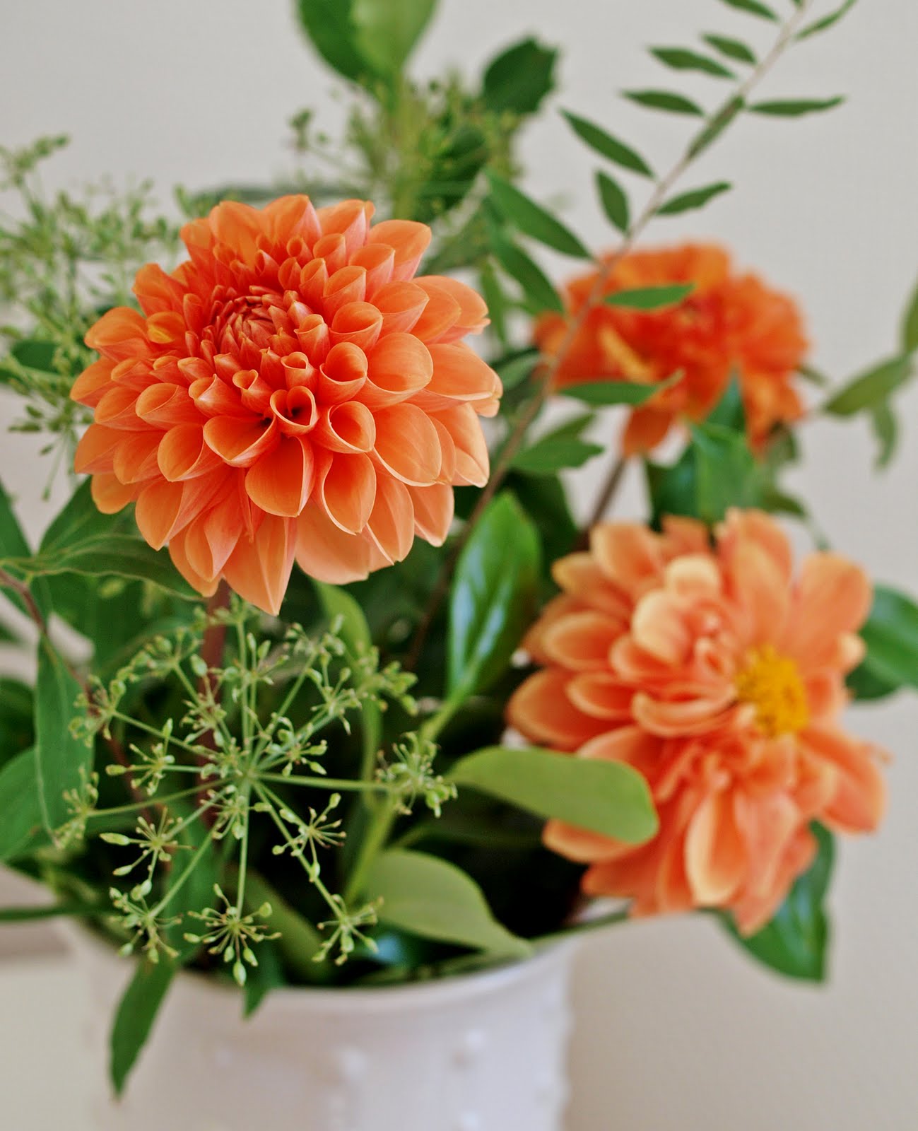 Anita Thomhave Simonsen: Nyeste georginer/dahlier....